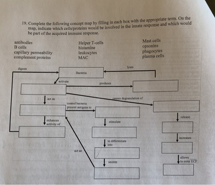 Solved complete the following concept map by filling in each | Chegg.com