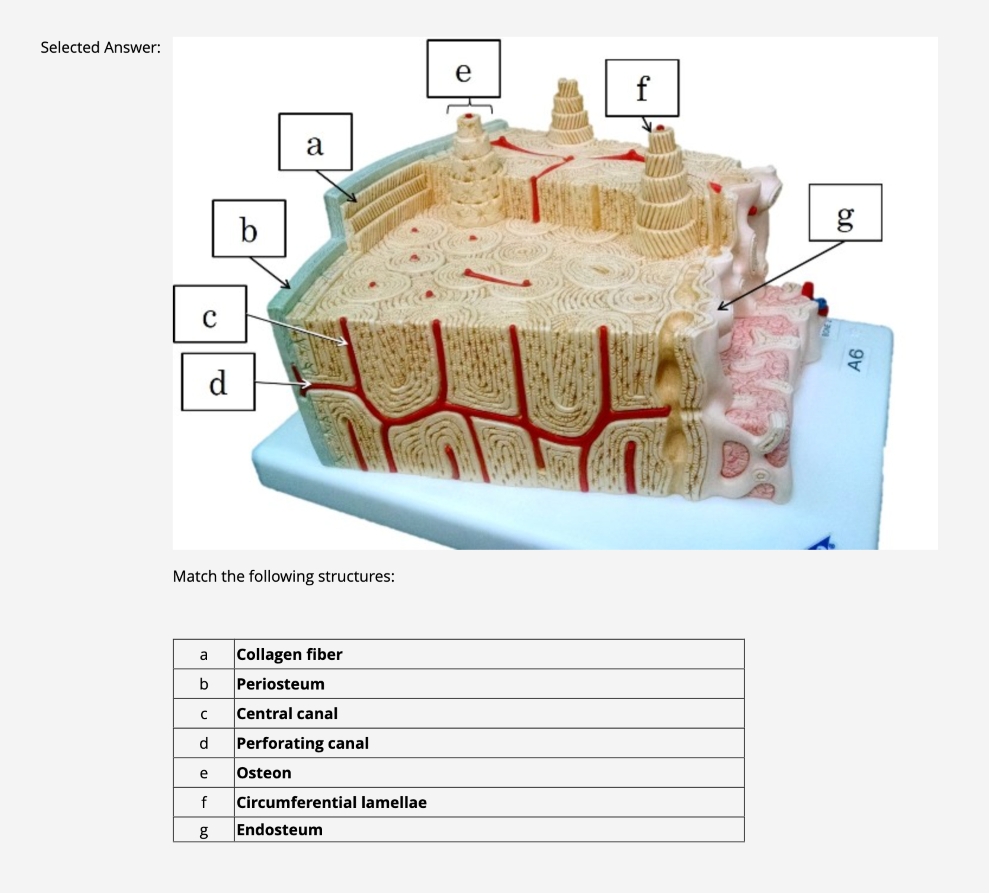 I got 5 ﻿out of 7 ﻿correct. Please relabel | Chegg.com