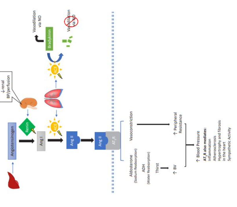 Solved Case Study #2: Arie was heading down to her | Chegg.com