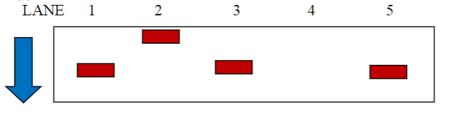 The Northern blot below is from normal (lane 1) and | Chegg.com