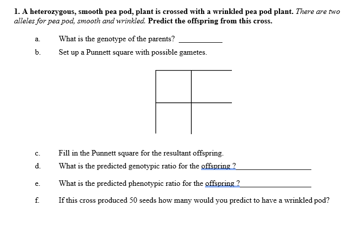 1. A heterozygous, smooth pea pod, plant is crossed | Chegg.com
