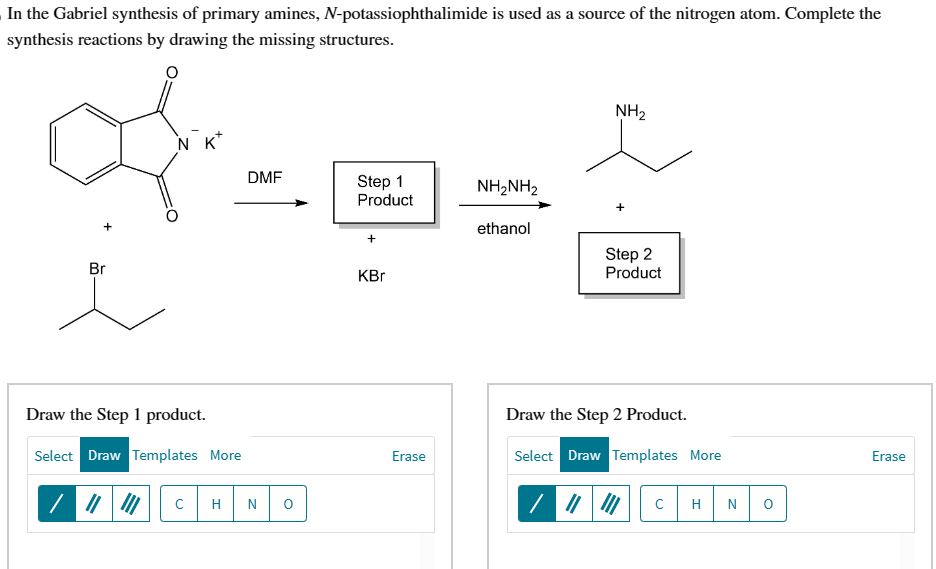 Solved In the Gabriel synthesis of primary amines, | Chegg.com