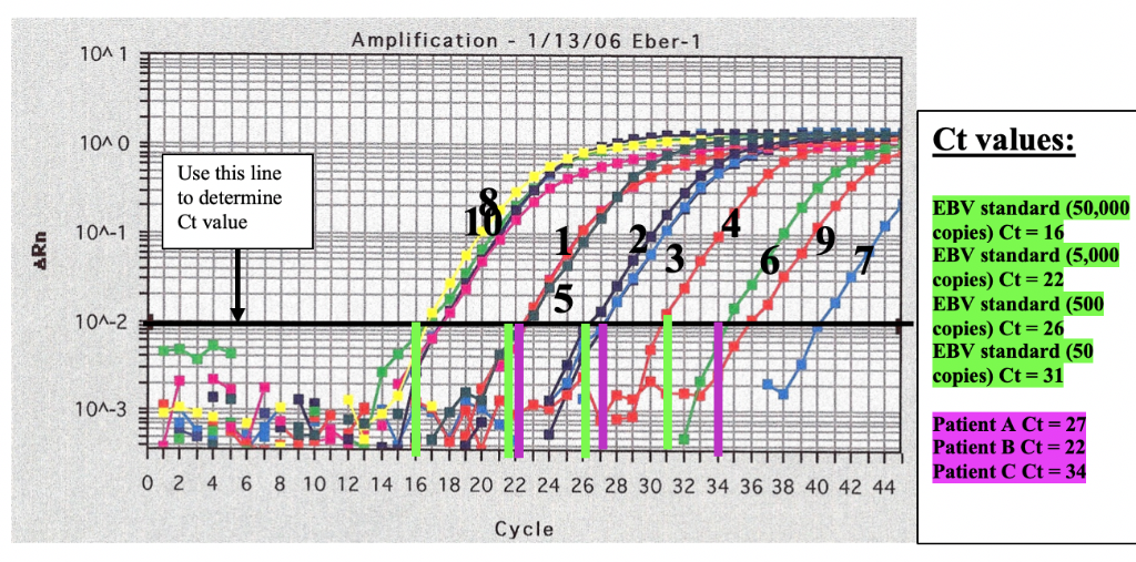 Solved Plot the EBV standard curve and determine the EBV | Chegg.com