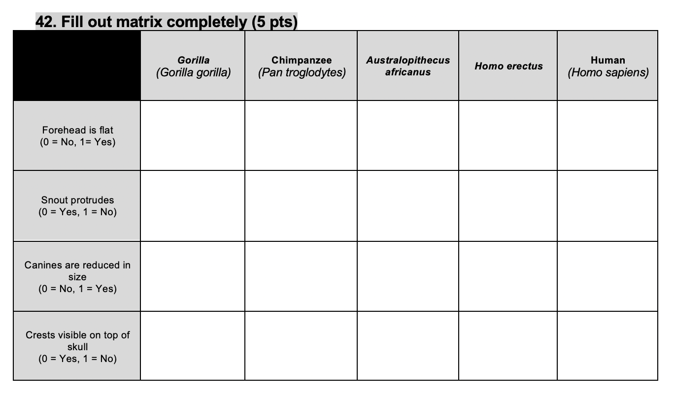 Solved 42. Fill out matrix completely (5 pts) Gorilla | Chegg.com