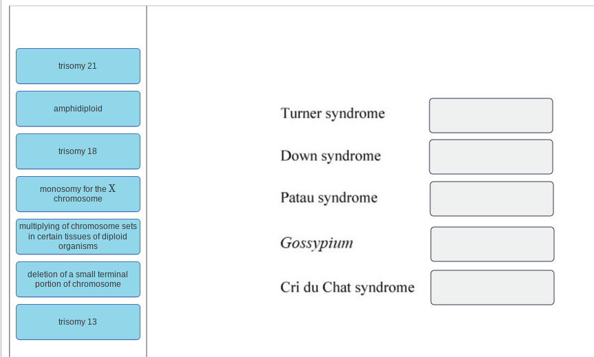 Solved trisomy 21 amphidiploid trisomy 18 monosomy for the X | Chegg.com