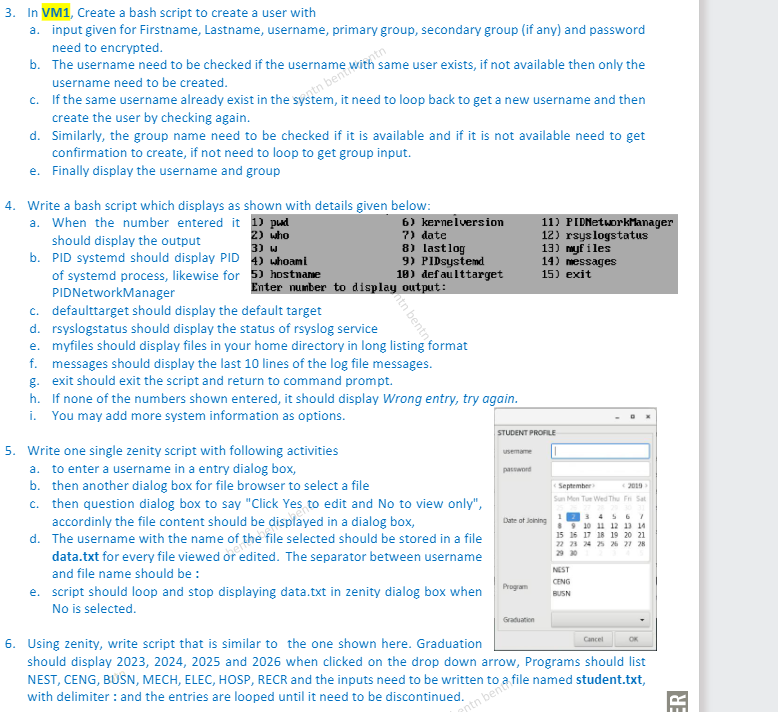 Solved 3. In VM1, Create a bash script to create a user with | Chegg.com