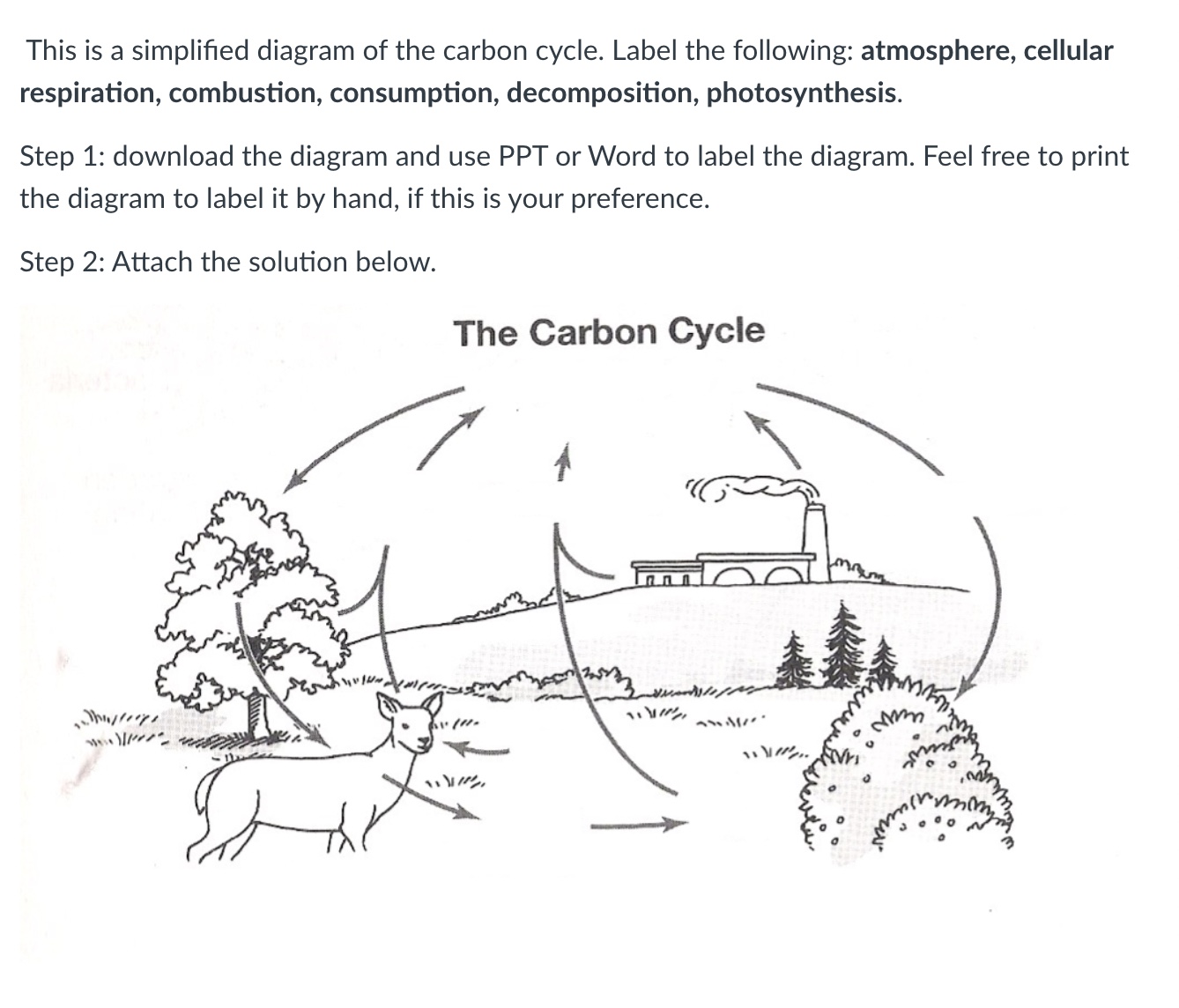 Solved This is a simplified diagram of the carbon cycle. | Chegg.com