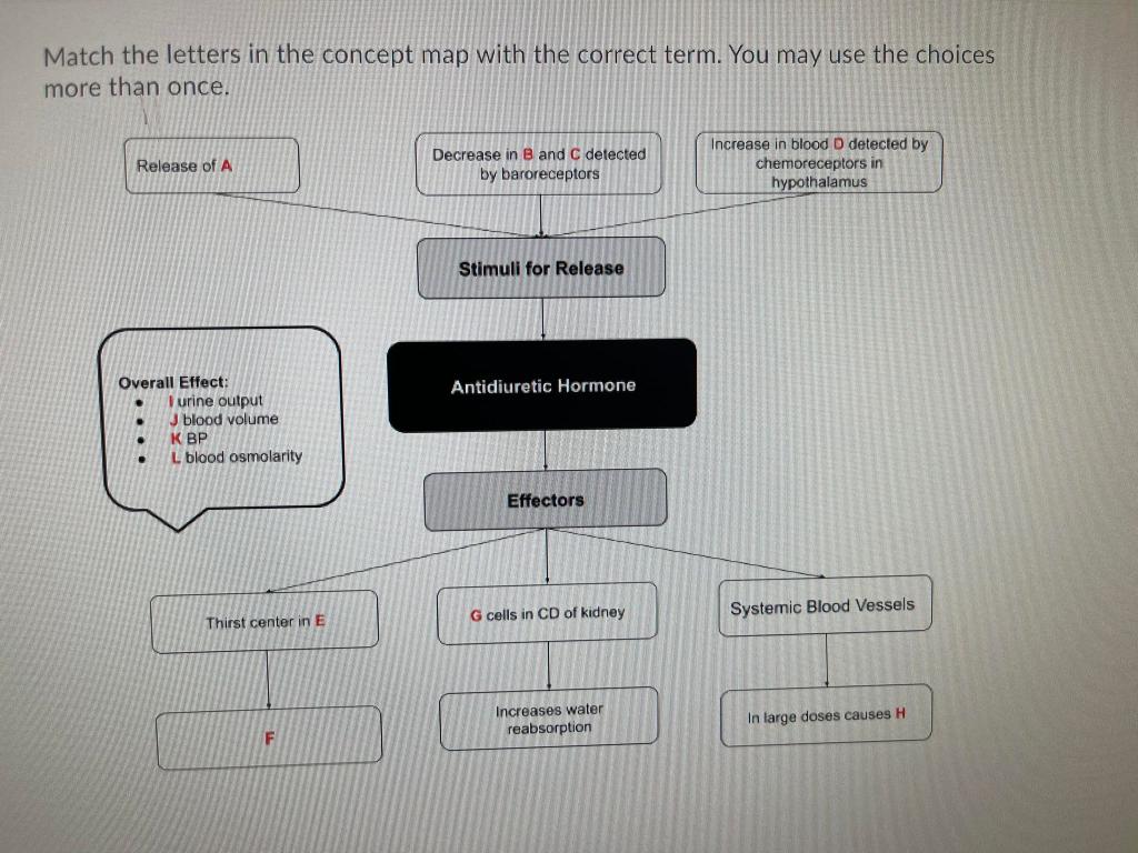 Solved Match the letters in the concept map with the correct | Chegg.com