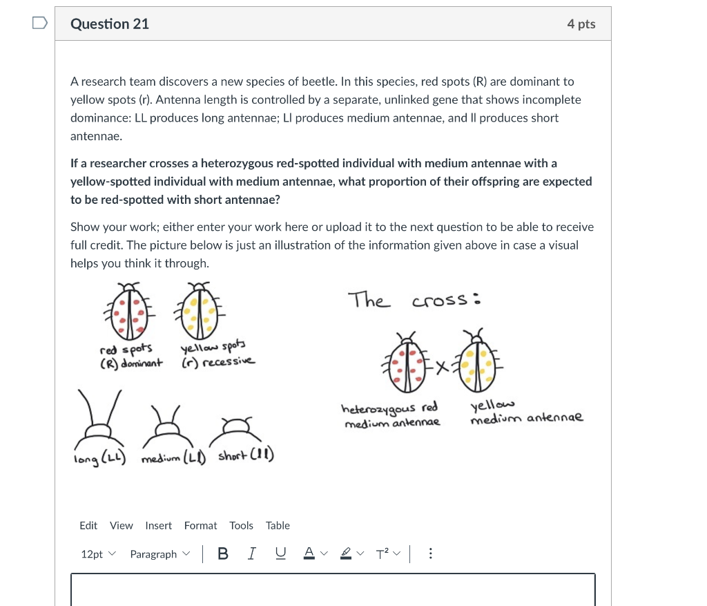 Solved Question 21 4 pts A research team discovers a new | Chegg.com