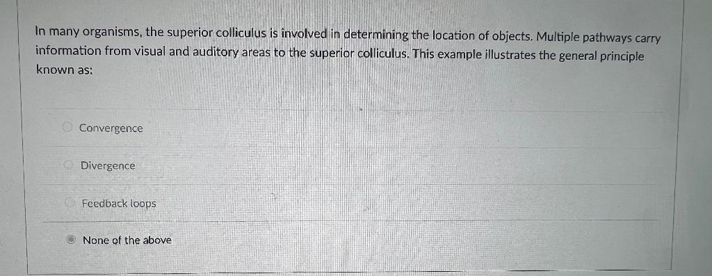Solved In many organisms, the superior colliculus is | Chegg.com