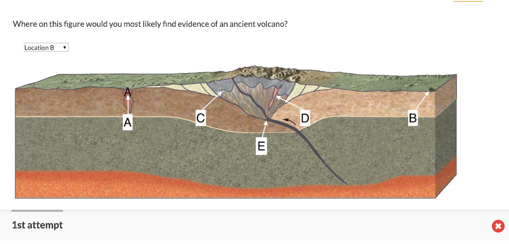 Solved Where on this figure would you most likely find | Chegg.com