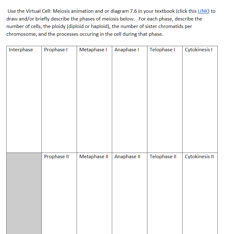 Solved Use the Virtual Cell: Meiosis animation and or | Chegg.com