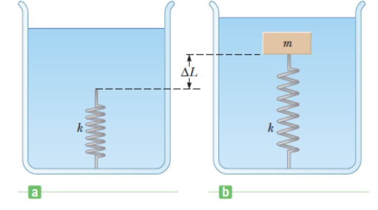 Solved A light spring of force constant k = 164 N/m | Chegg.com
