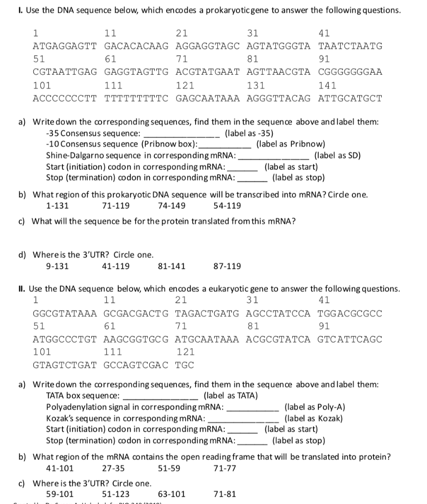 Solved 1. Use the DNA sequence below, which encodes a | Chegg.com