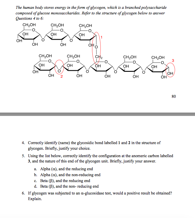 Solved The human body stores energy in the form of glycogen, | Chegg.com