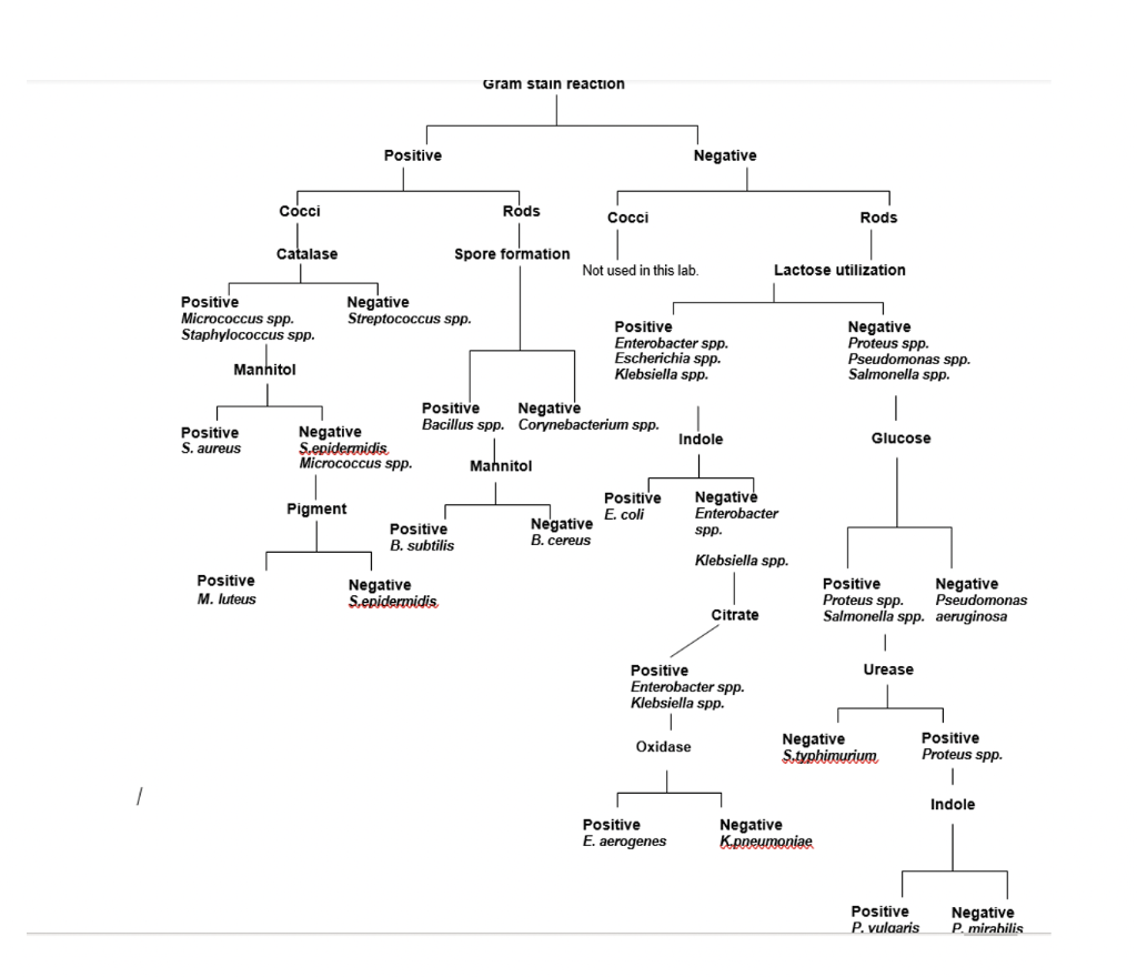 Solved The following are the test results performed on an | Chegg.com