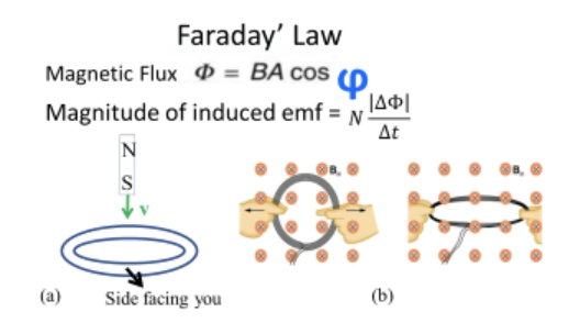 Solved Faraday' Law Magnetic Flux 0 = BA cos , Magnitude of | Chegg.com
