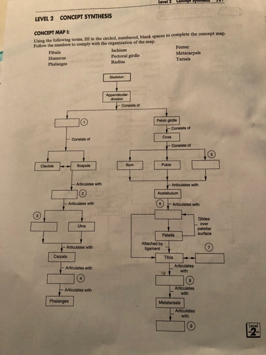 Solved Level 2 LEVEL 2 CONCEPT SYNTHESIS Using the following | Chegg.com