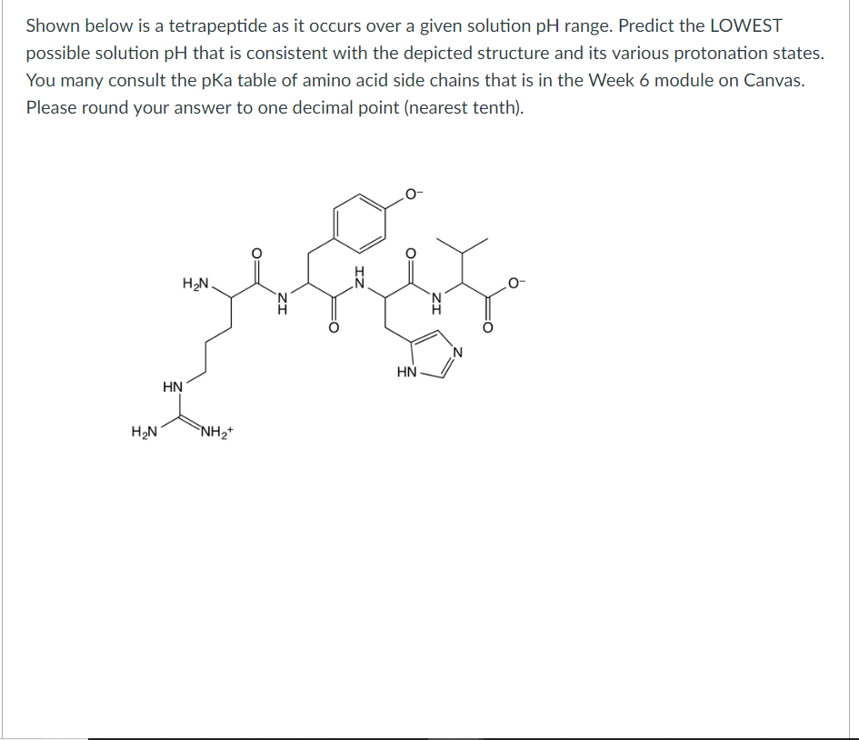 Solved B. For the tetrapeptide structure shown in the | Chegg.com