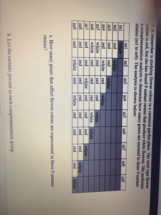 Solved 5. A researcher is studying flower colour in a common | Chegg.com