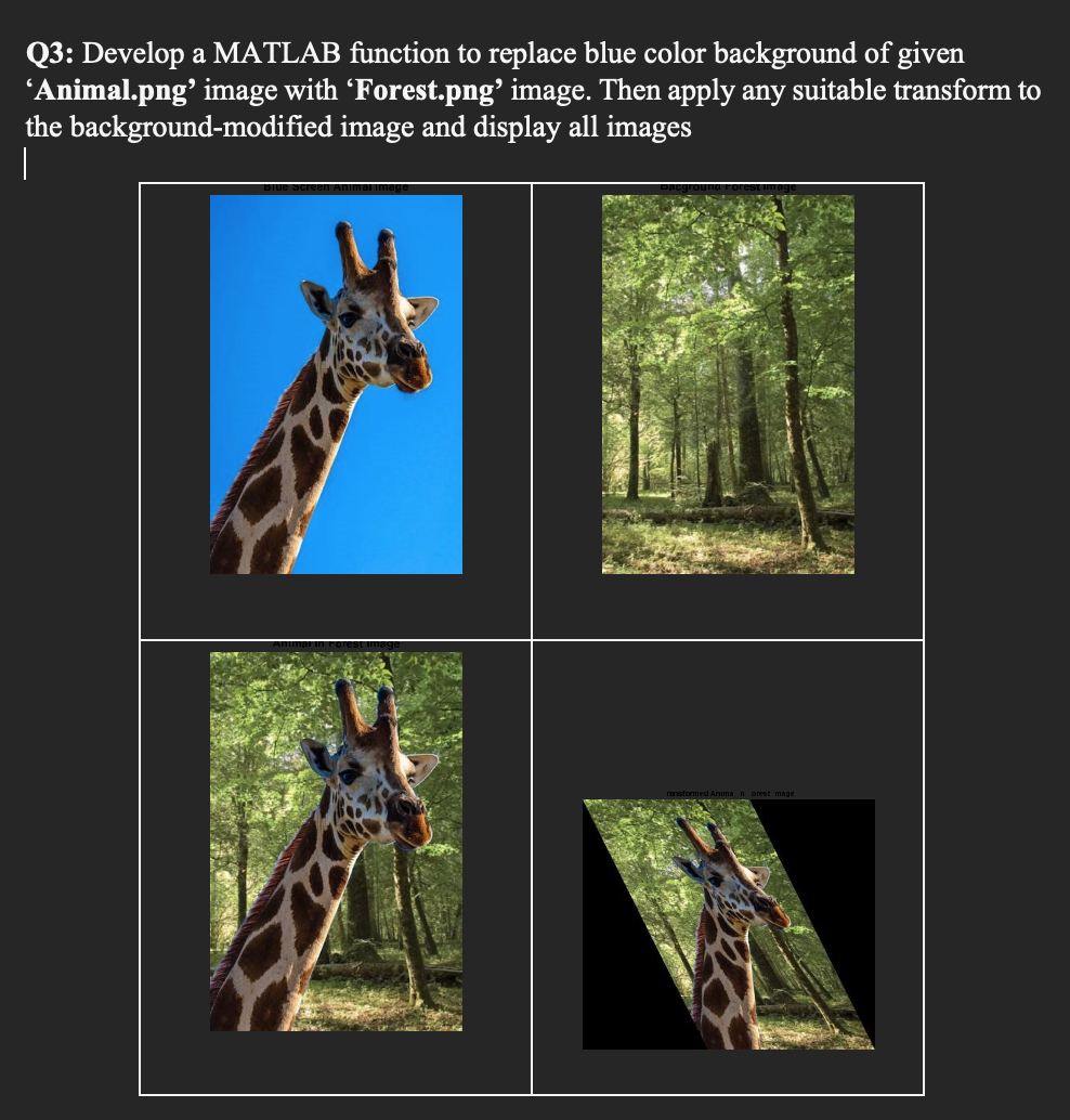 Solved Q3: Develop a MATLAB function to replace blue color | Chegg.com