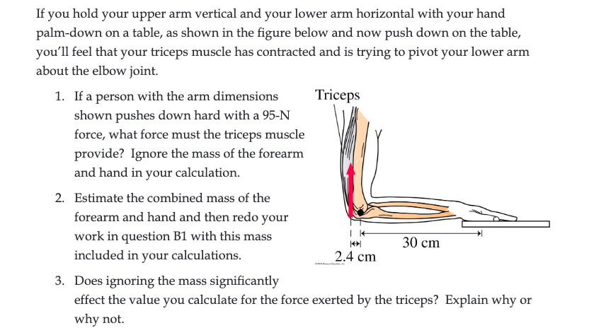 If you hold your upper arm vertical and your lower | Chegg.com