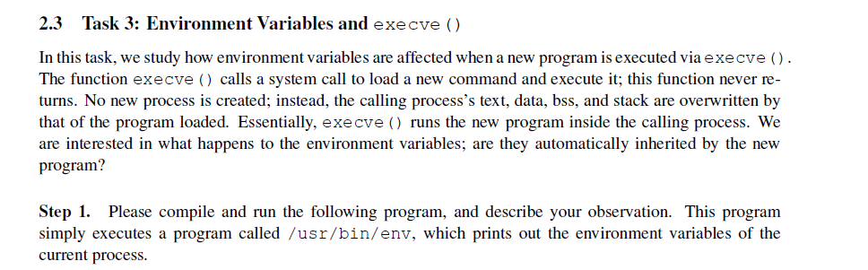Solved 23 Task 3 Environment Variables And Execve In 3136
