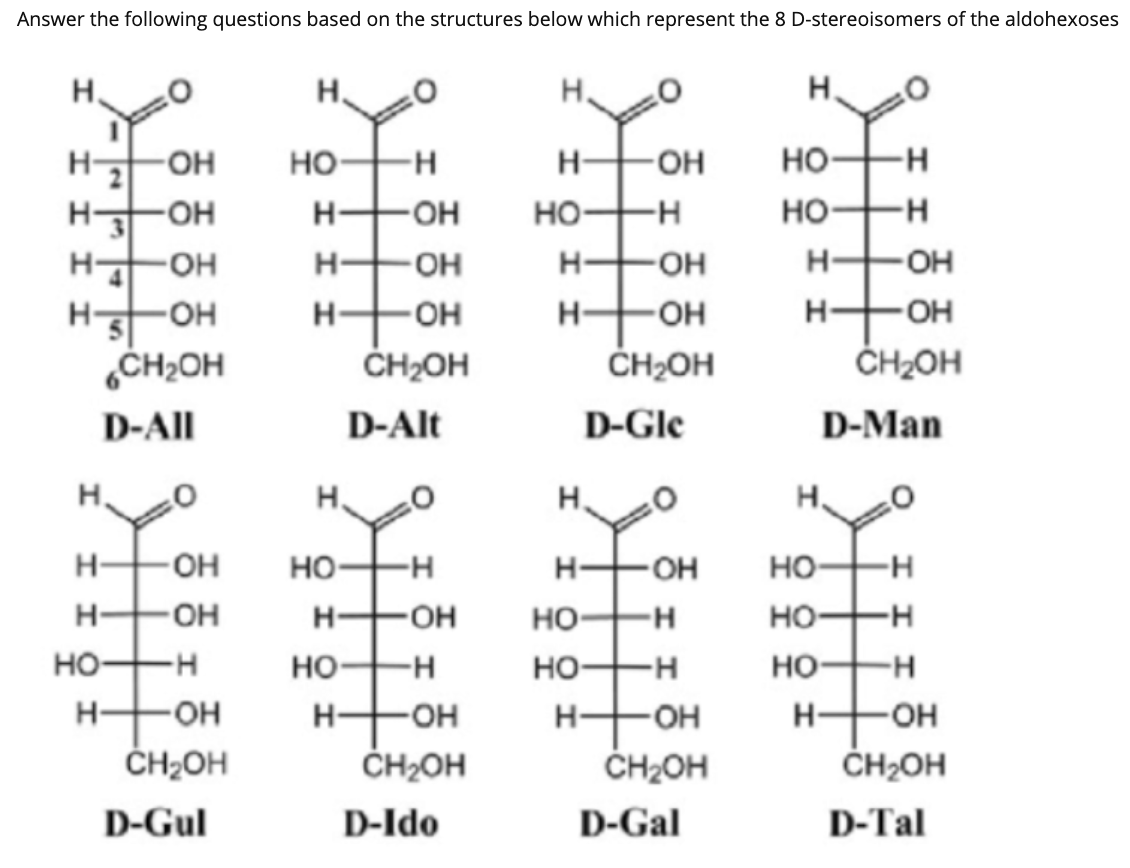 Solved 1.) The molecule in the above figure that is | Chegg.com