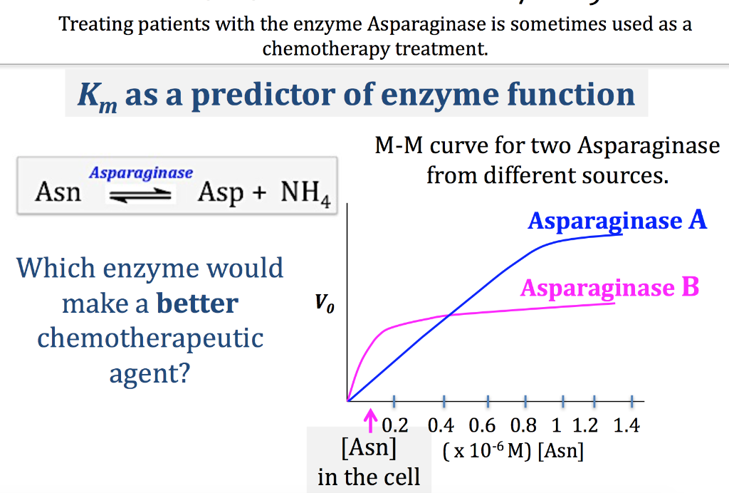 Solved Treating patients with the enzyme Asparaginase is | Chegg.com