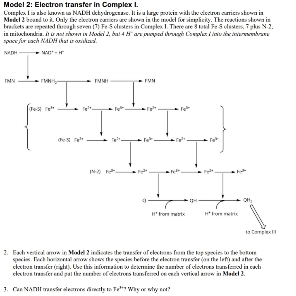 Solved Model 2: Electron transfer in Complex I. Complex I is | Chegg.com