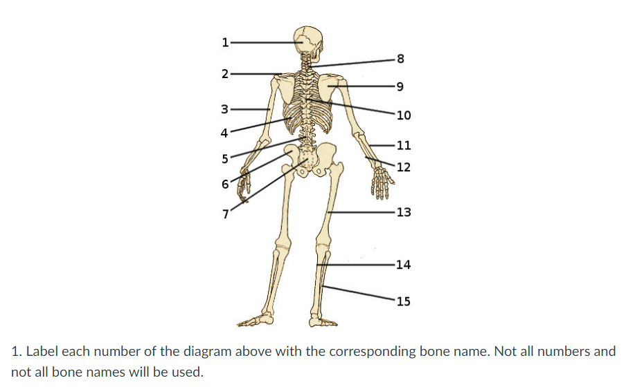 1 00 2- 9 3 10 4 11 5 12 09 -13 -14 15 1. Label each | Chegg.com