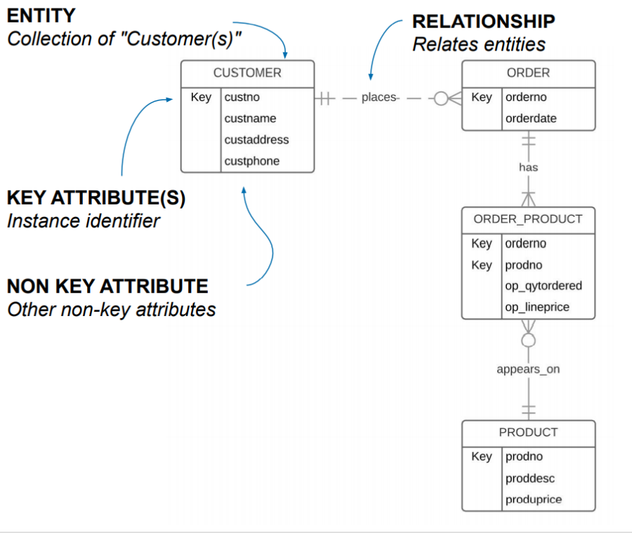 Solved Database： Your task is to design a FULL conceptual | Chegg.com