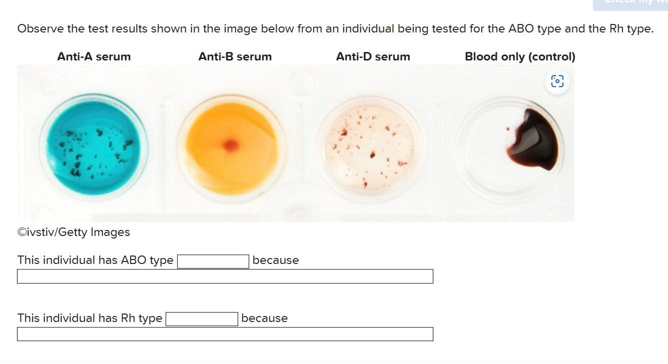 Solved Observe the test results shown in the image below | Chegg.com
