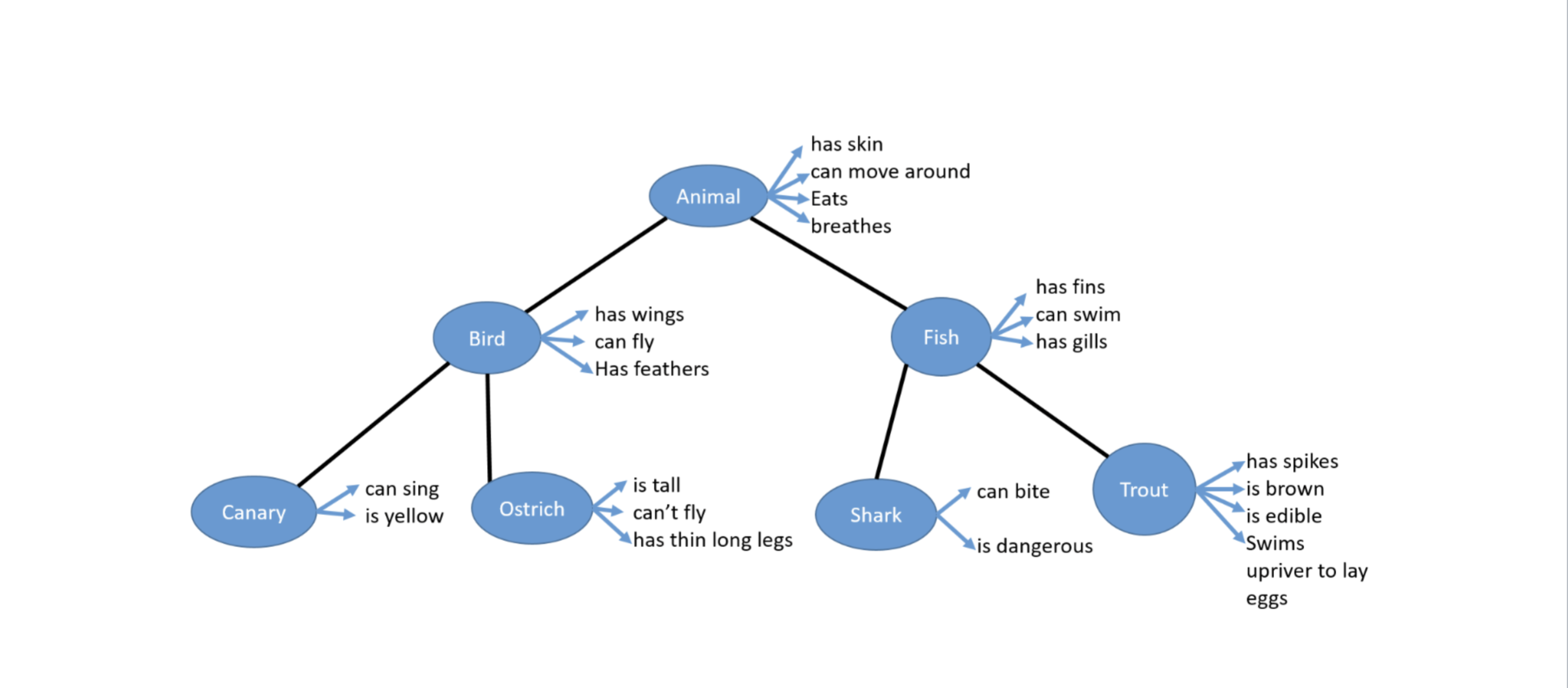 Solved Part 1: Implement the full animal class hierarchya) | Chegg.com