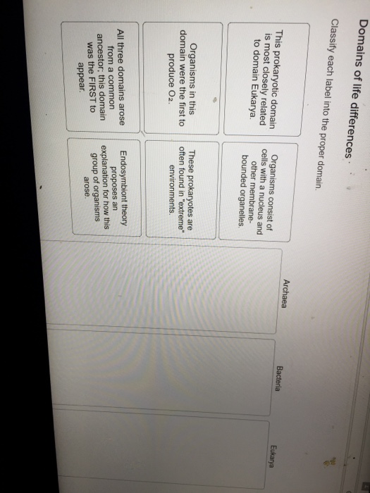 Solved Classify each label into the proper domain. This | Chegg.com
