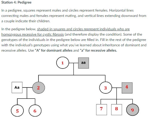 Solved Station 4: PedigreeIn a pedigree, squares represent | Chegg.com