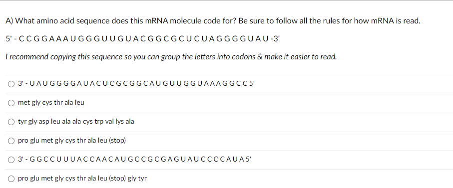 Solved A) ﻿What amino acid sequence does this mRNA molecule | Chegg.com