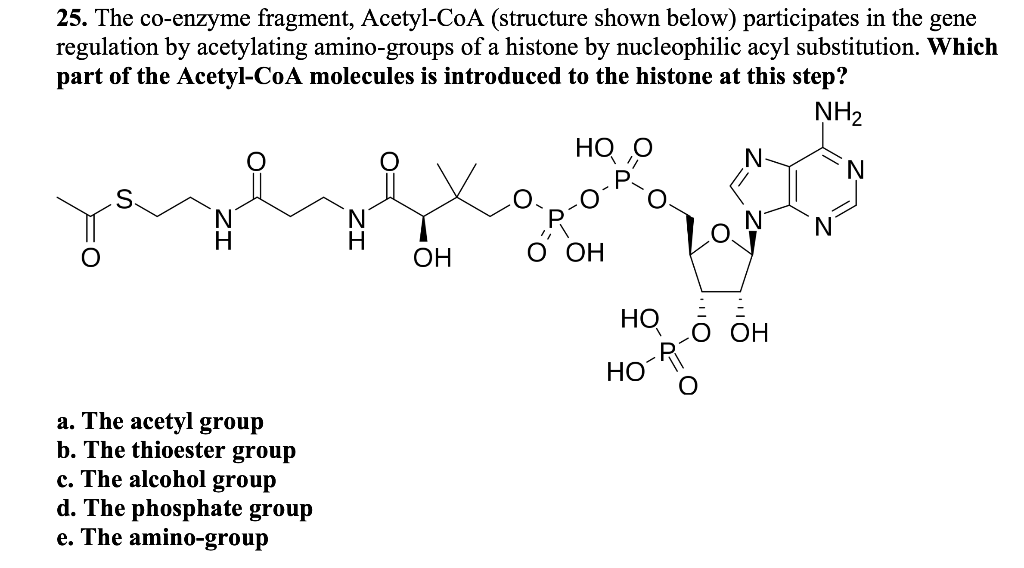 Solved 25. The co-enzyme fragment, Acetyl-CoA (structure | Chegg.com