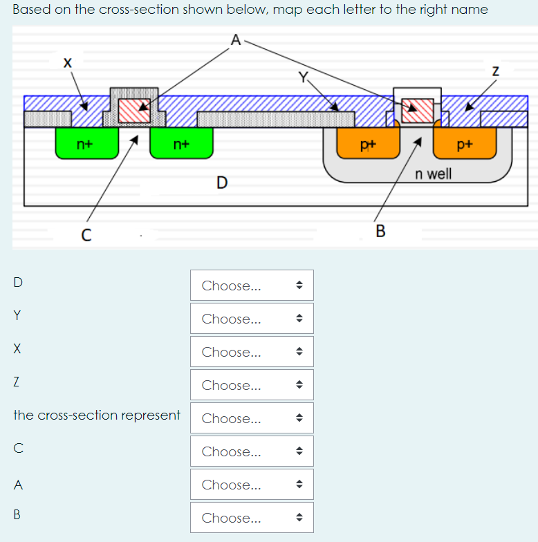 Solved Based on the cross-section shown below, map each | Chegg.com