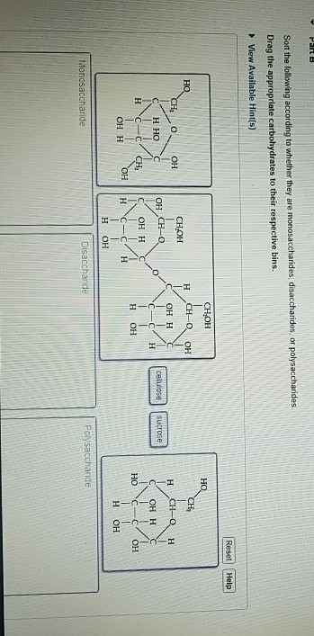 Solved Sort the following according to whether they are | Chegg.com