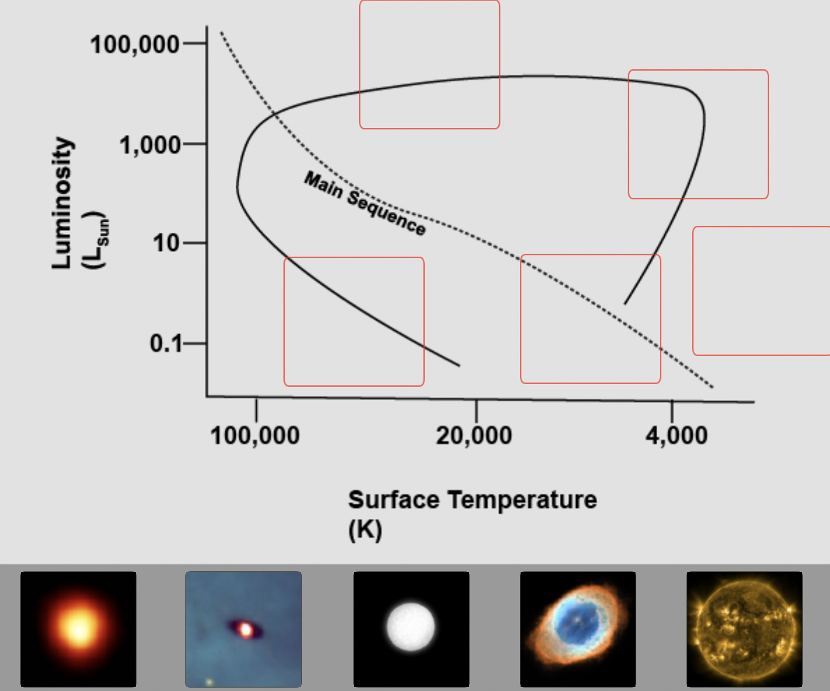 Solved The images shown illustrate several steps in the | Chegg.com
