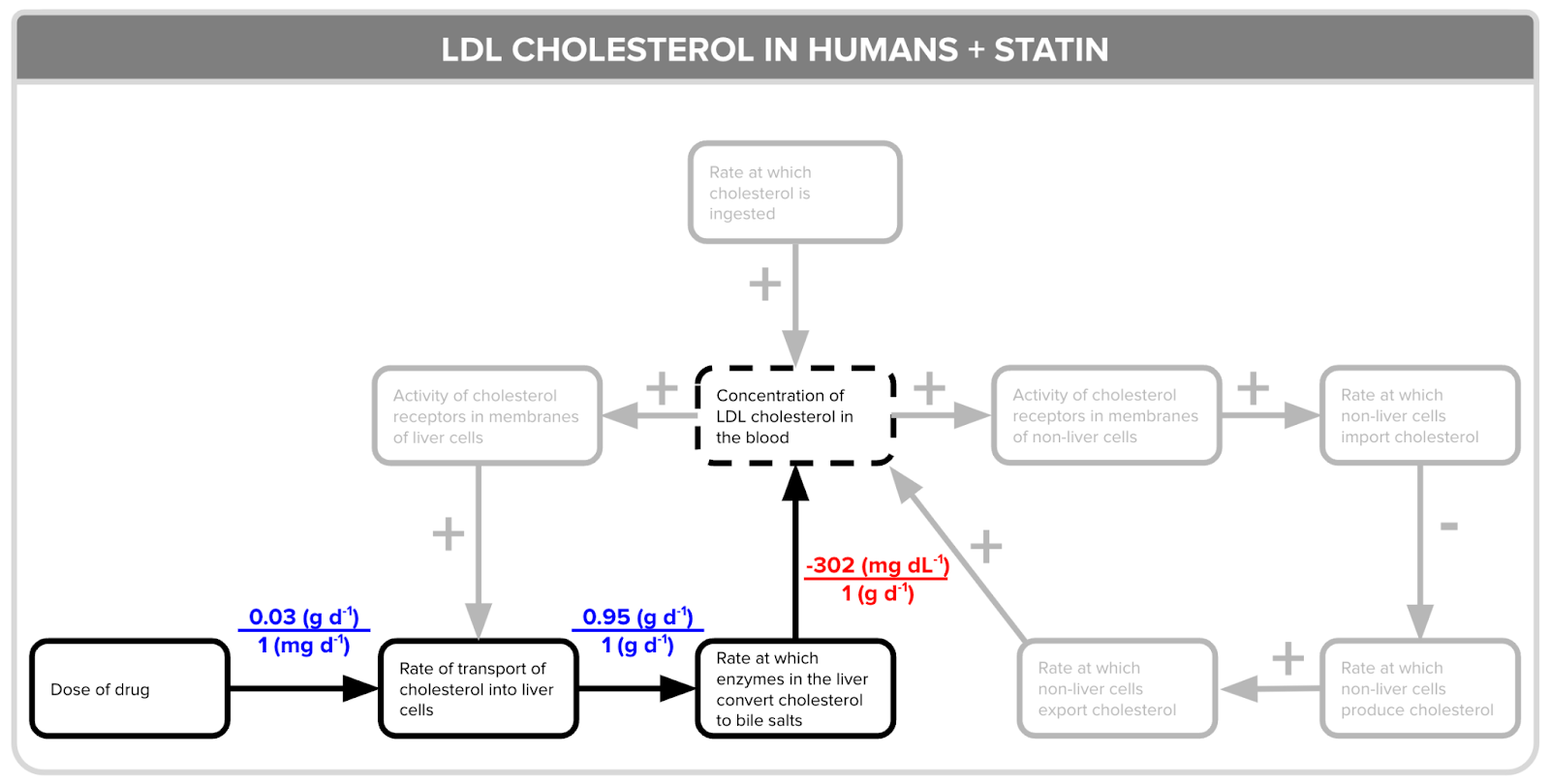 Solved Provide a step-by-step explanation of how statins | Chegg.com