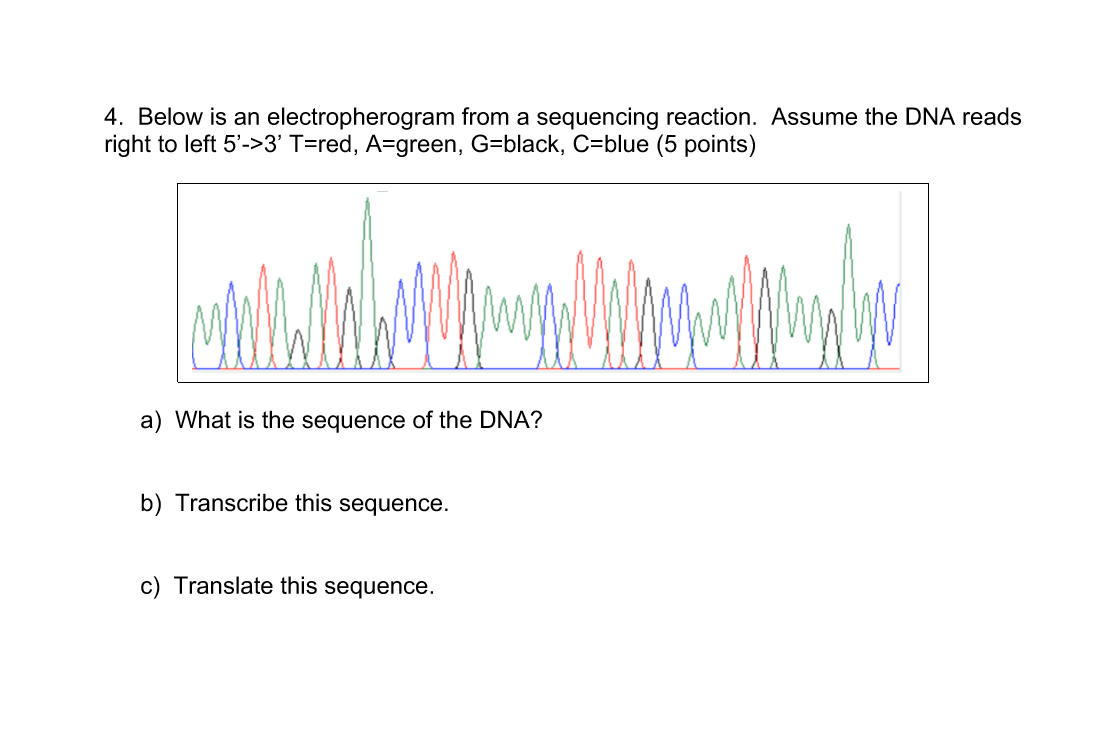 Solved 4. Below is an electropherogram from a sequencing | Chegg.com