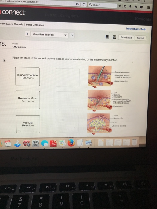 Solved Place the steps in the correct order to assess your | Chegg.com