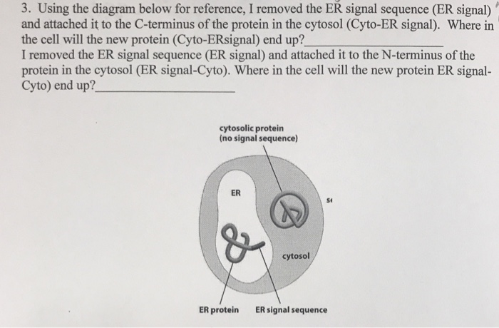 Solved 3. Using the diagram below for reference, I removed | Chegg.com