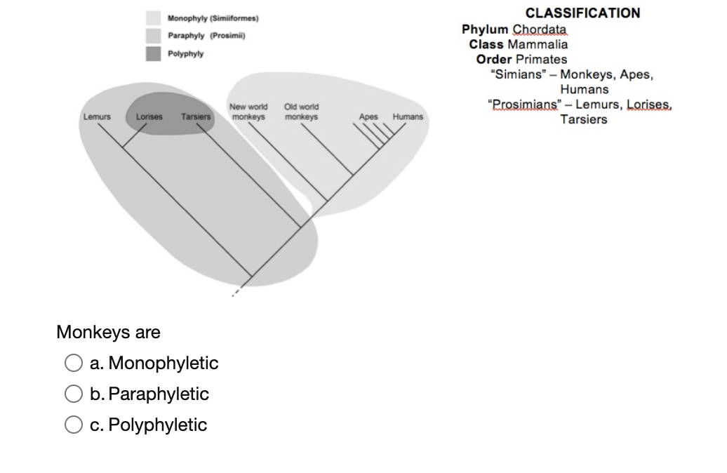 Solved Monophyly (Simiiformes) Paraphyly (Prosimi) Polyphyly | Chegg.com