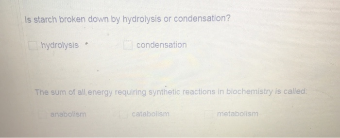 Solved Is starch broken down by hydrolysis or condensation? | Chegg.com