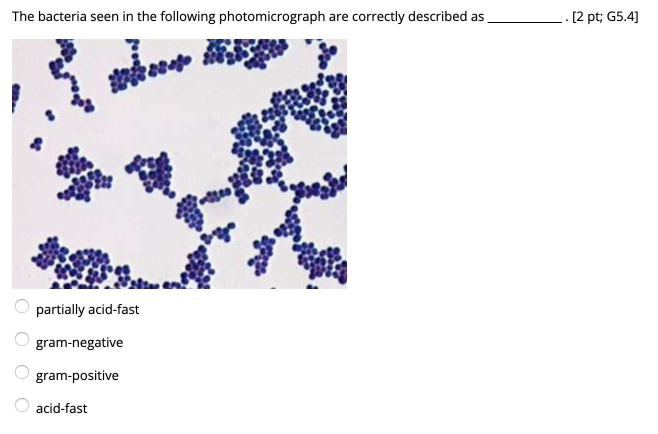 Solved The bacteria seen in the following photomicrograph | Chegg.com