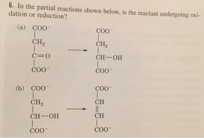 Solved 6. In the partial reactions shown below, is the | Chegg.com