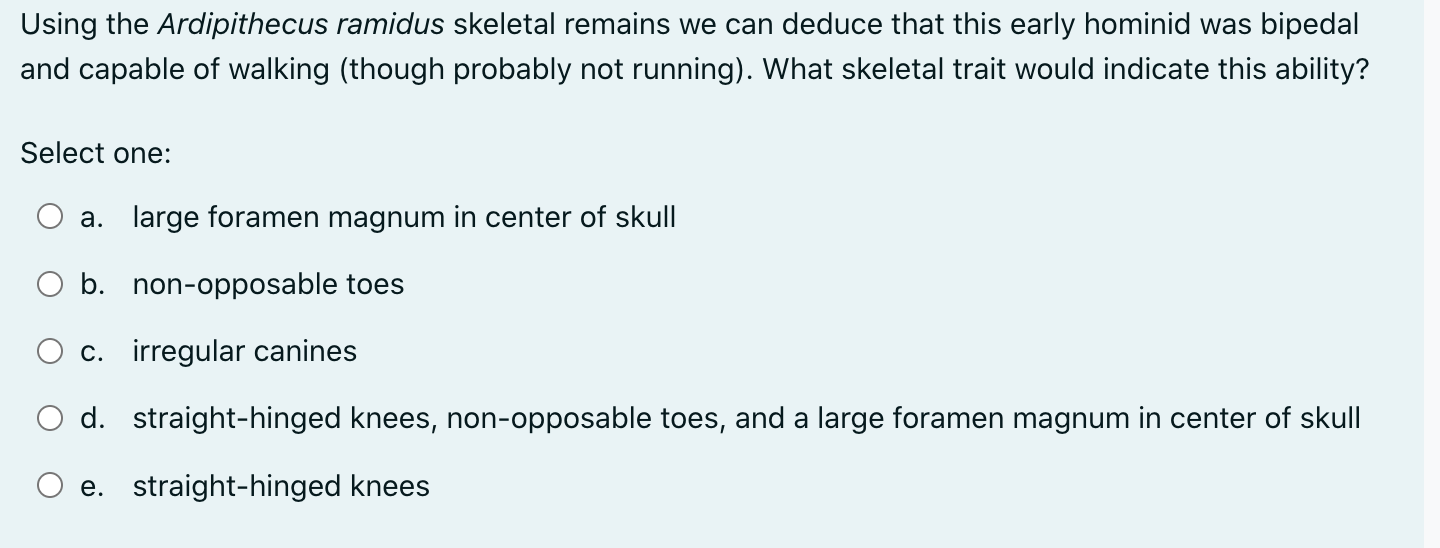 Solved Using The Ardipithecus Ramidus Skeletal Remains We